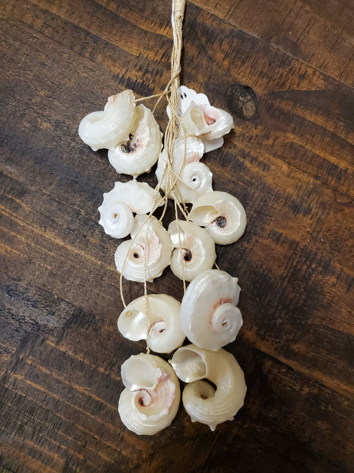 Sea shell garland — White Pine Artisan Market