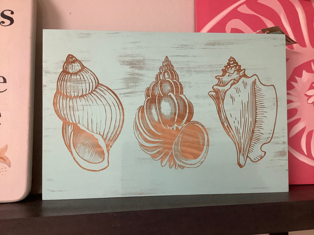 3 seashells engraved picture — White Pine Artisan Market